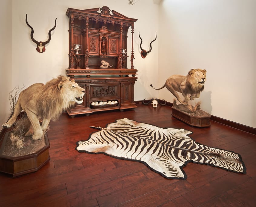 Hallowed Hall - Schenck & Company